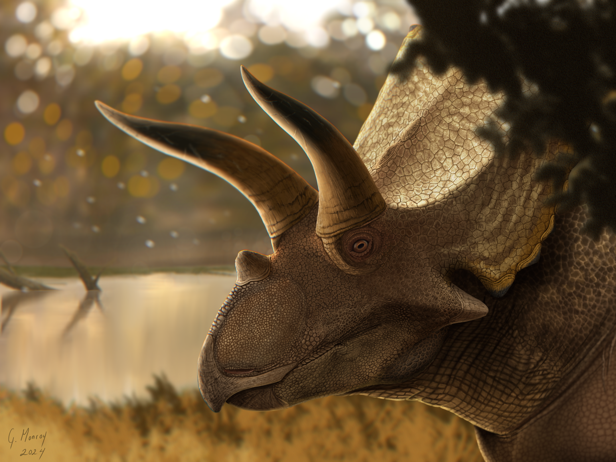 Mexican Maastrichtian Horned Dinosaur | Dickinson ND